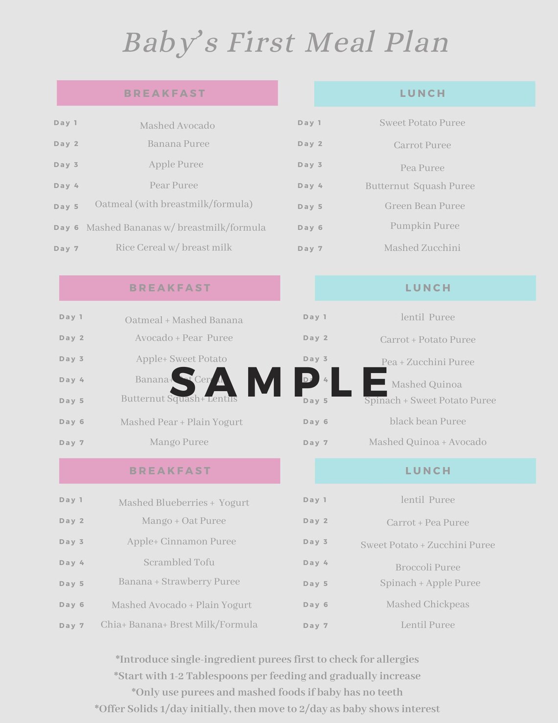Baby's First Meal Plan - Etsy
