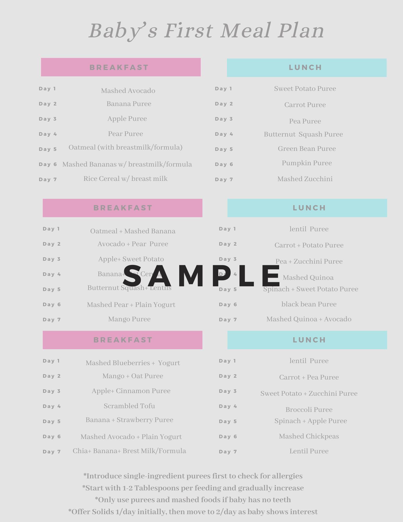 Baby's First Meal Plan - Etsy