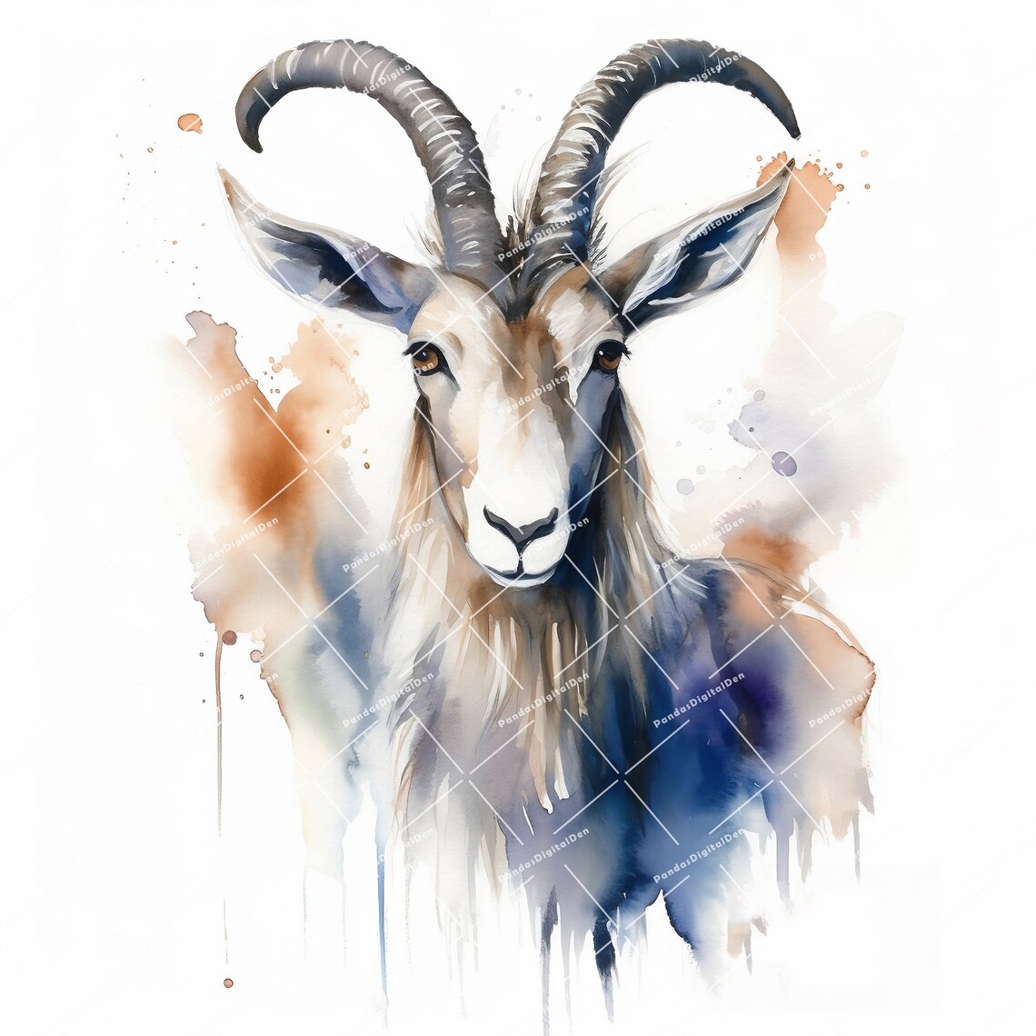 Watercolor Markhor Portraits Clipart for Digital Invitations, Digital ...