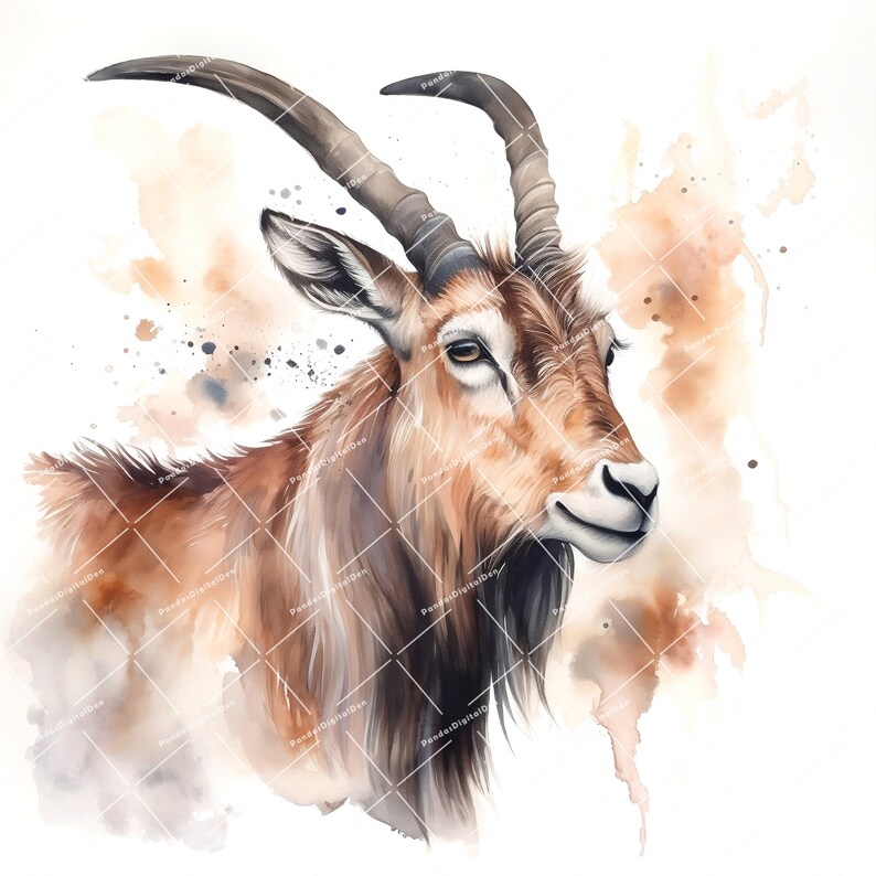 Watercolor Markhor Portraits Clipart for Digital Invitations, Digital ...