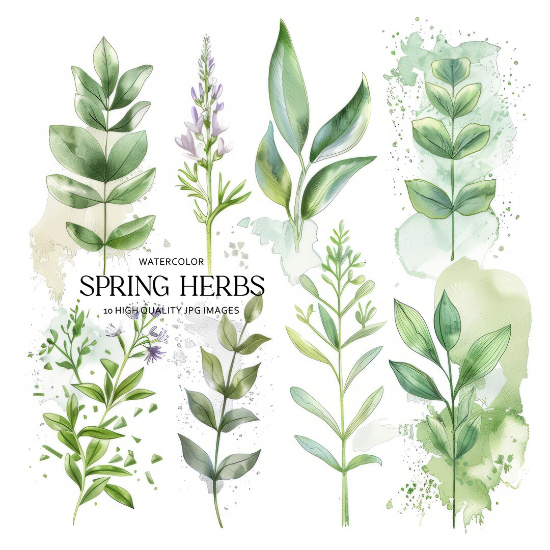 10 Greenery Watercolor Clipart I Botanical Clipart I Watercolor Clipart ...