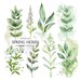 10 Greenery Watercolor Clipart I Botanical Clipart I Watercolor Clipart ...