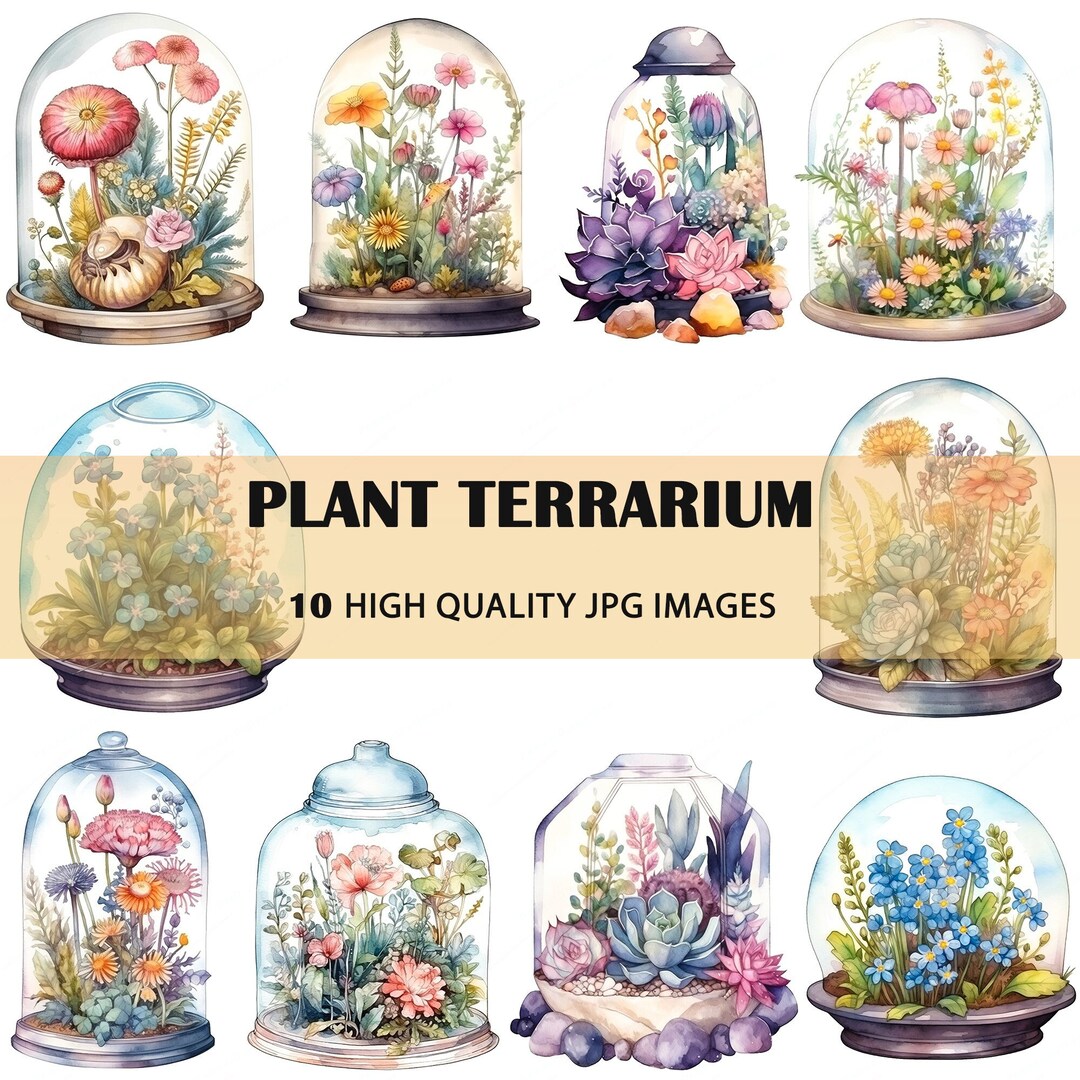 Watercolor Plant Terrarium Clipart for Digital Invitations, Digital ...