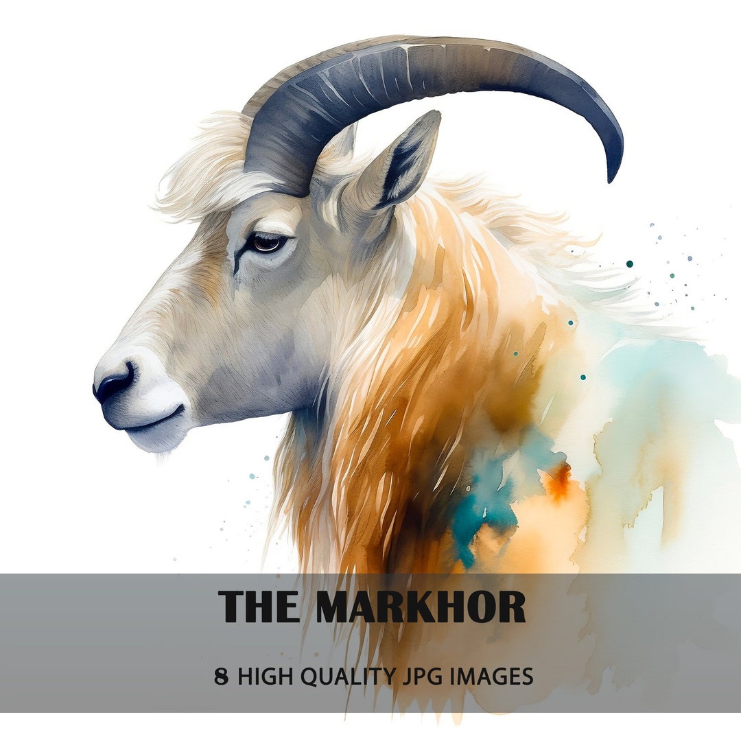 Watercolor the Markhor Clipart for Digital Invitations, Digital Posters, Scrapbook I Digital ...