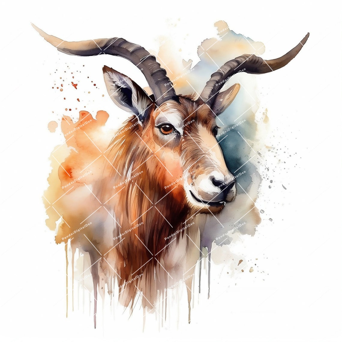 Watercolor Markhor Portraits Clipart for Digital Invitations, Digital ...