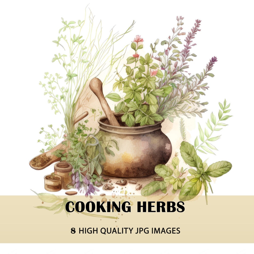 8 Cooking Herbs Clipart for Digital Invitations, Digital Posters ...