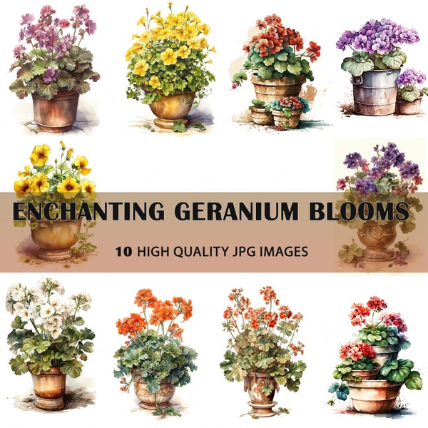 Geranium Clipart - Etsy