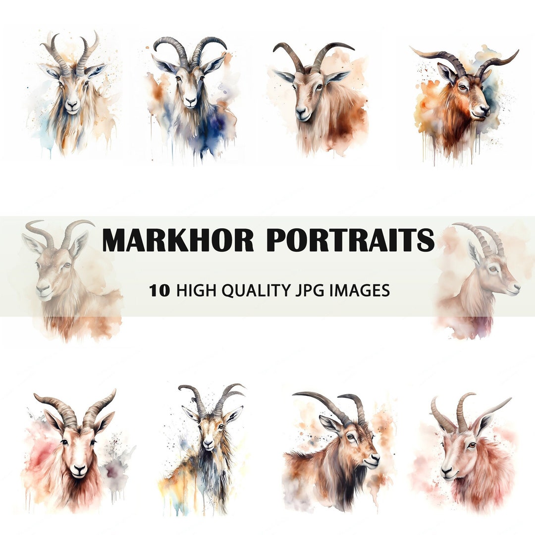 Watercolor Markhor Portraits Clipart for Digital Invitations, Digital ...