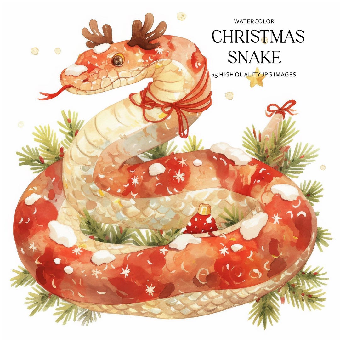 Christmas Snake Clipart, Digital Download, Watercolor, Digital Paper ...