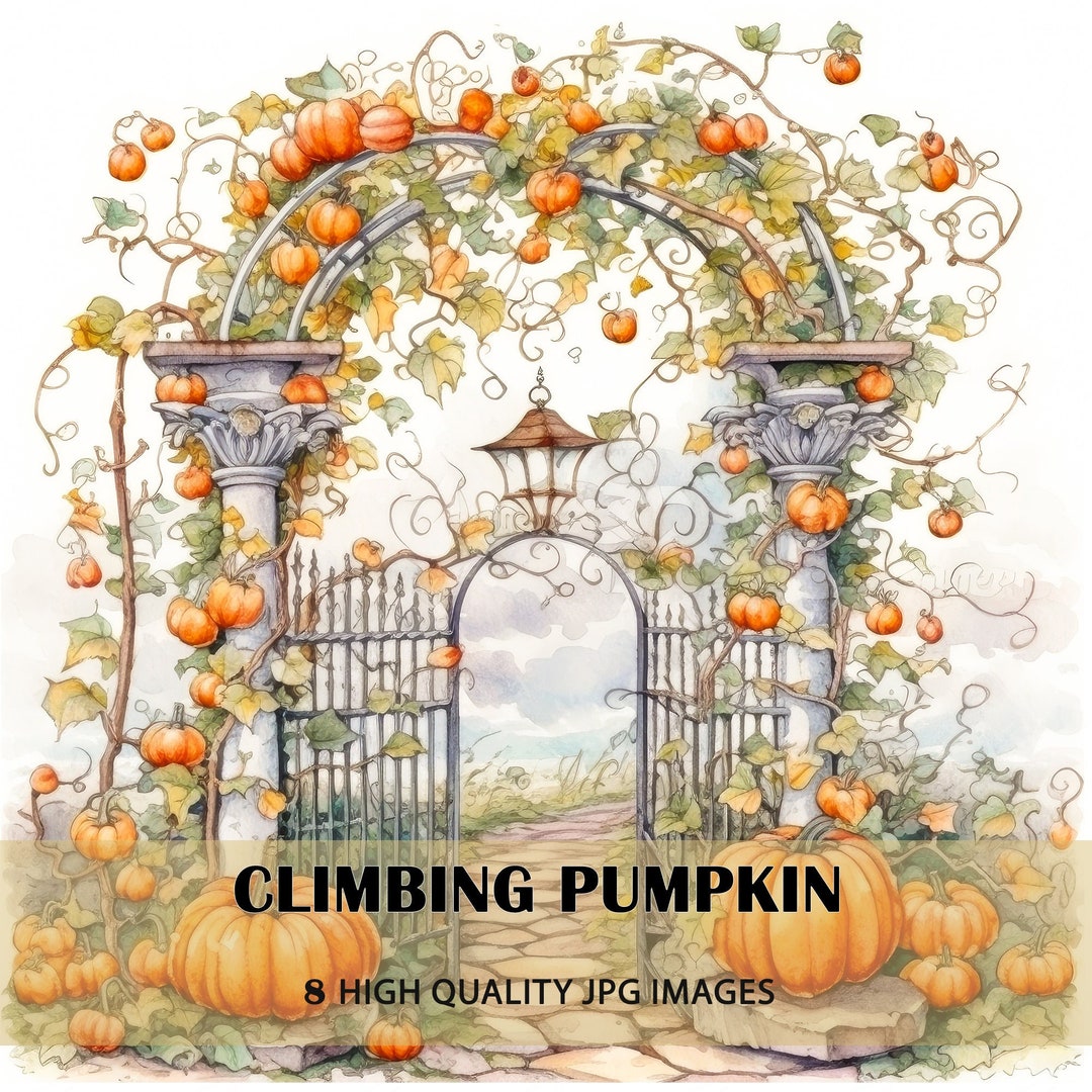 Climbing Pumpkin Clipart for Digital Invitations, Digital Posters ...