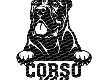 Peeking Cane Corso Dog Decal Tumbler Truck Car Window Laptop Hydro ...