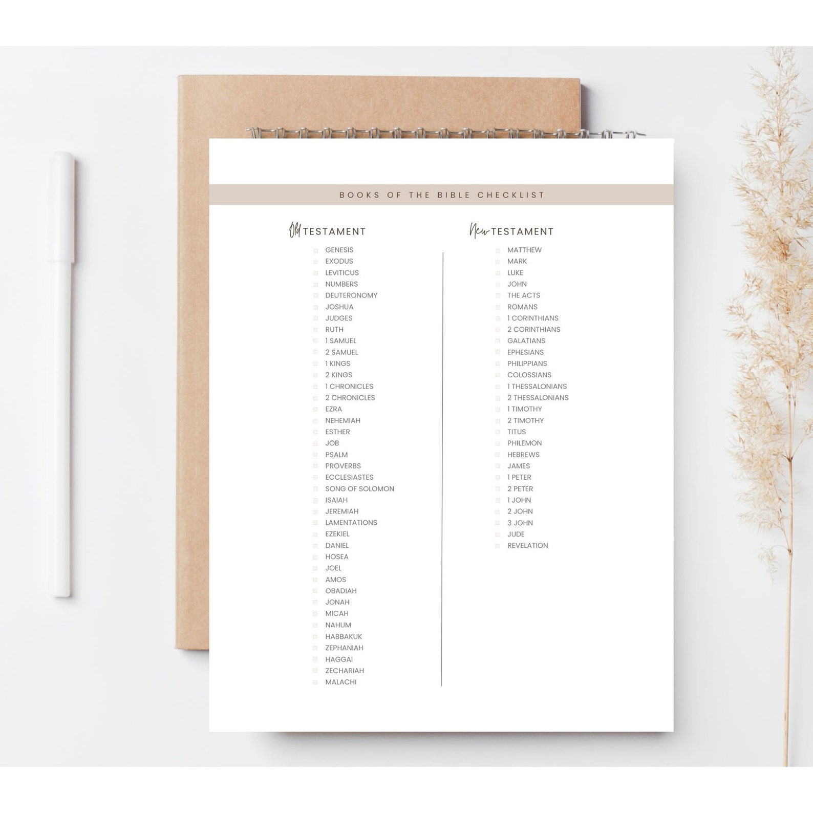 Bible Reading Tracker Traditional Bible Reading Plan 3-month Bible ...