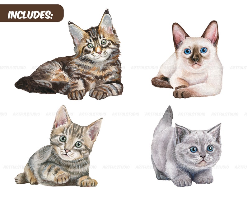 Watercolor Kittens Clipart-realistic Cats Clip Art-maine Coon - Etsy
