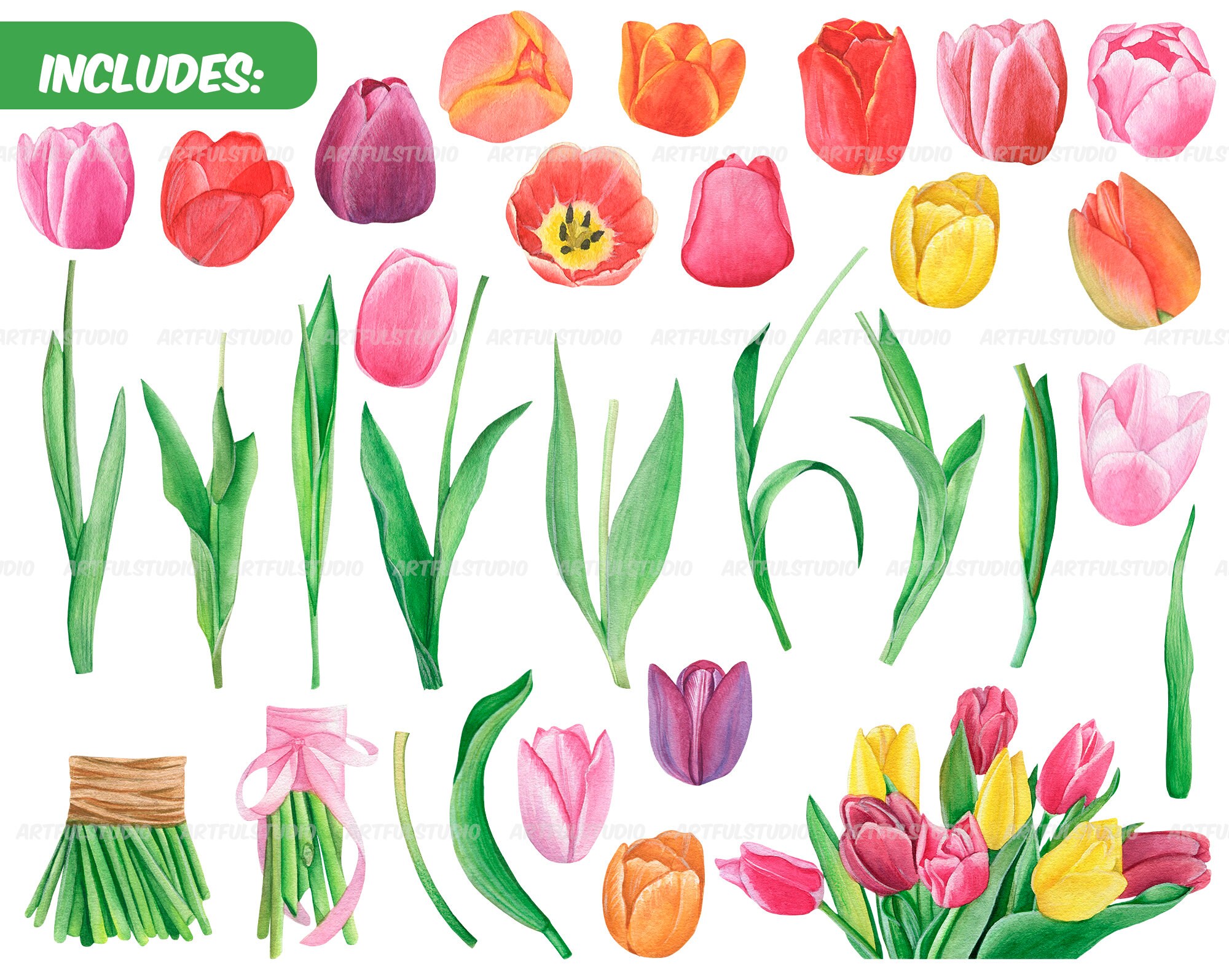 Watercolor Tulips Clipart-spring Flowers-bouquet Constructor-botanical ...