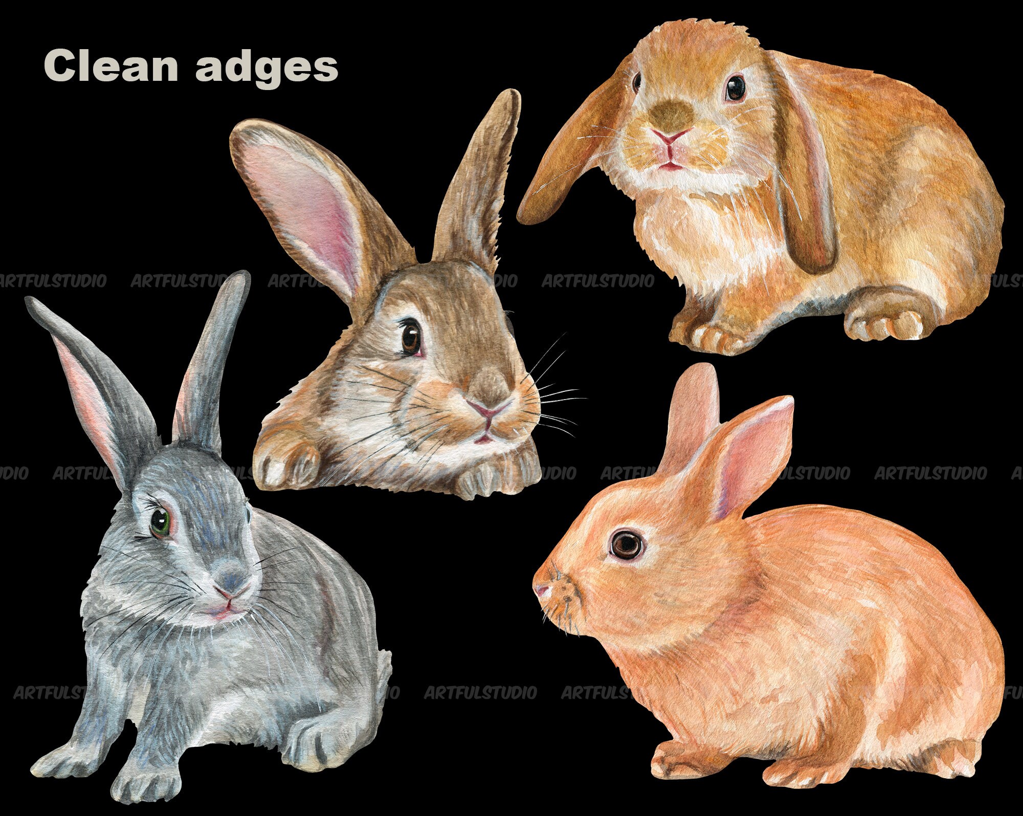 Watercolor Rabbits Clipart-realistic Bunnies Clip Art-decorative Breeds ...