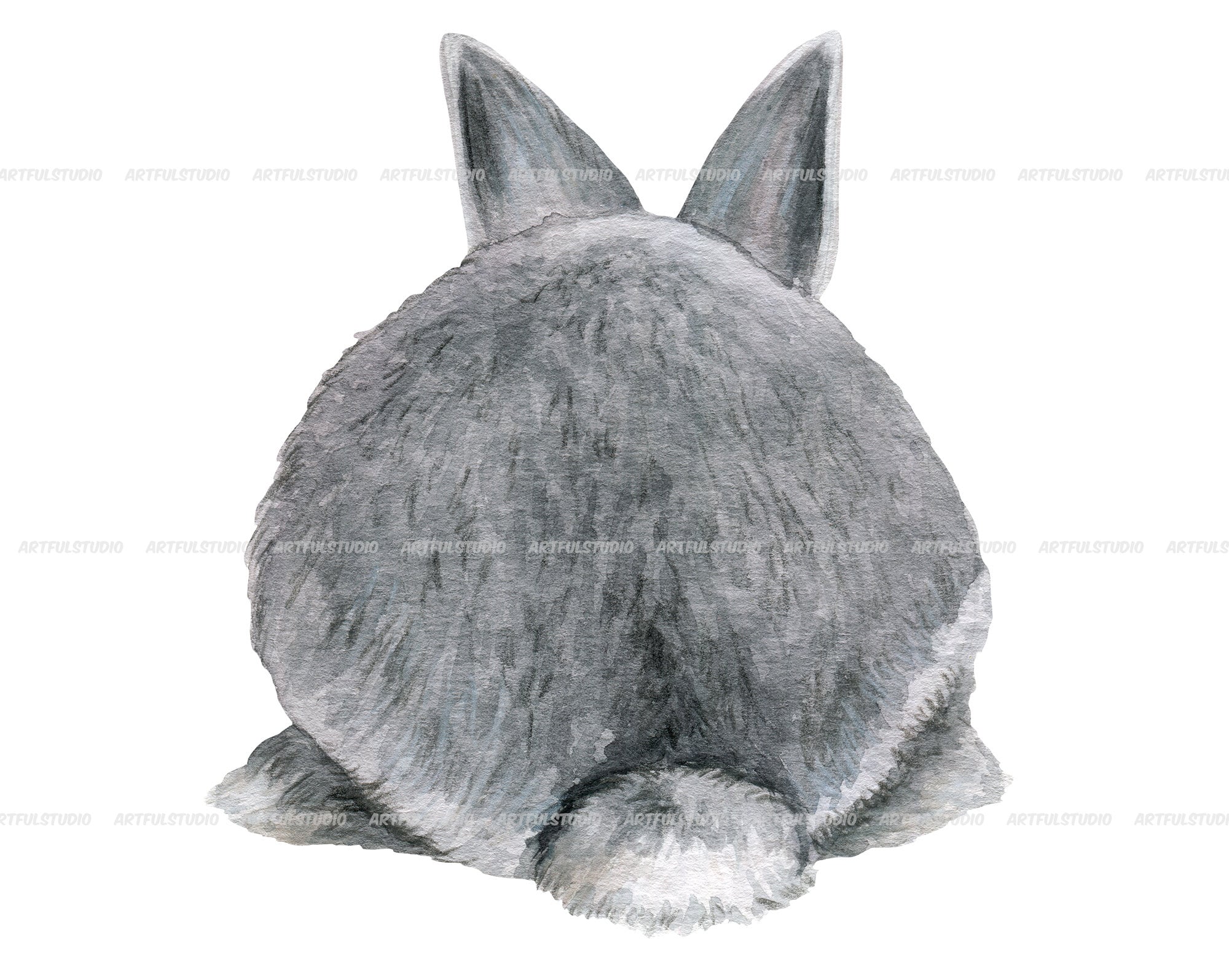 Watercolor Bunny Tails Clipart Realistic Bunnies decorative Breeds of ...