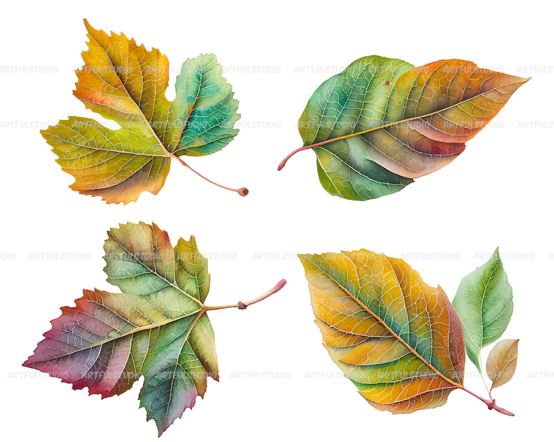 Watercolor Green Leaves Clipart Summer Leaf PNG Realistic Greenery ...