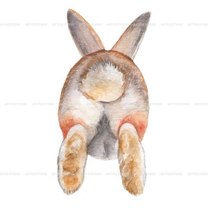 Watercolor Bunny Tails Clipart - Realistic Bunnies -decorative Breeds ...