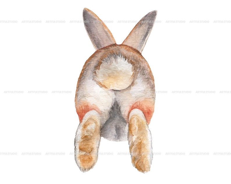 Watercolor Bunny Tails Clipart Realistic Bunnies decorative Breeds of ...