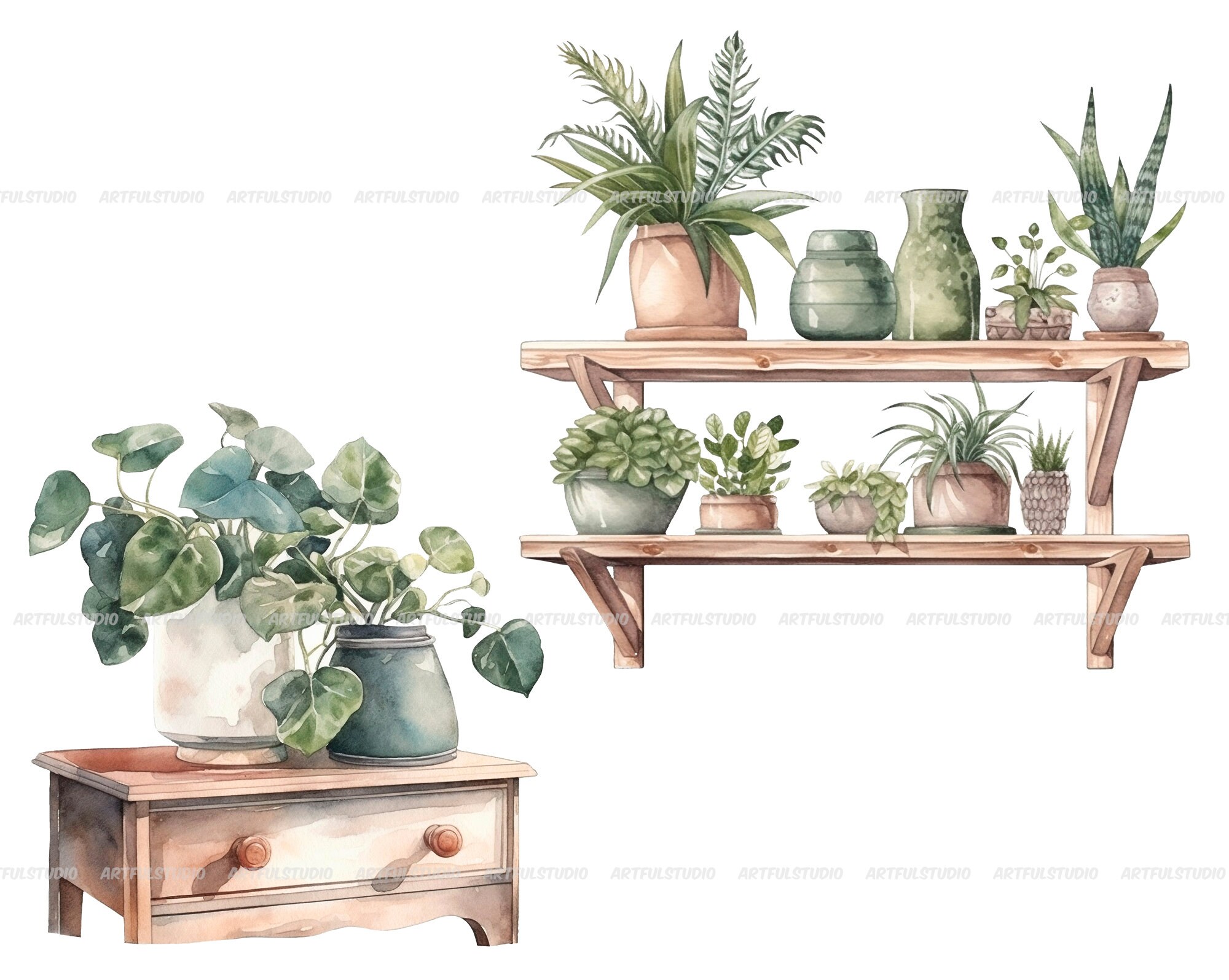 Watercolor Plant Lover Clipart Cute Succulents & Home Plants - Etsy