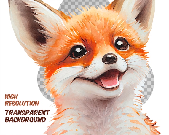 Cute Baby Fox Drawings