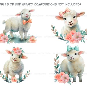 Watercolor Cute Baby Lambs Clipart-realistic Lamb With Flower-baby ...