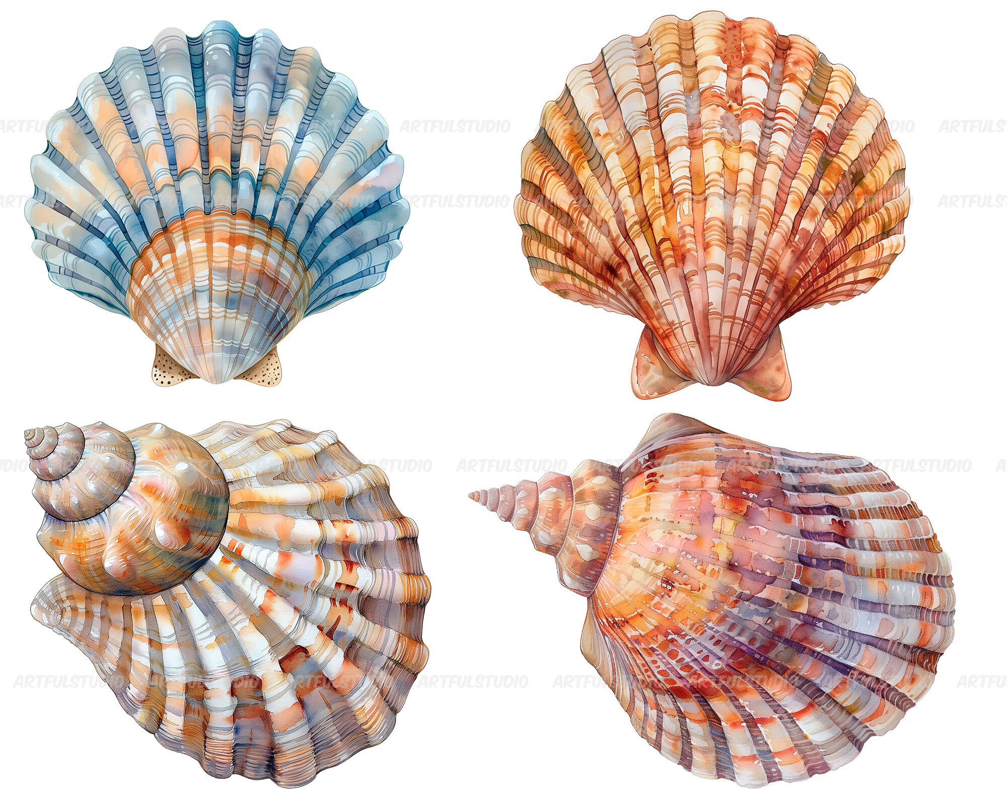 Watercolor Seashells Clipart Underwater Illustrations Beautiful ...