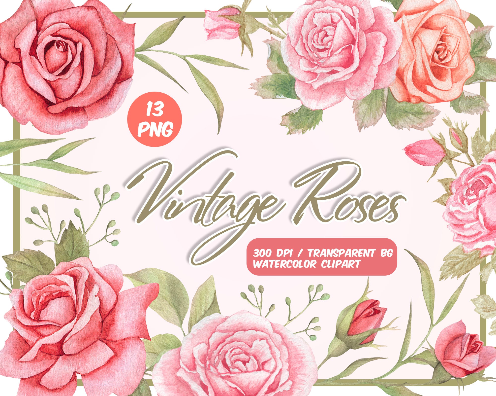 Watercolor Vintage Roses Clipart Dusty Pink Blush Light Etsy