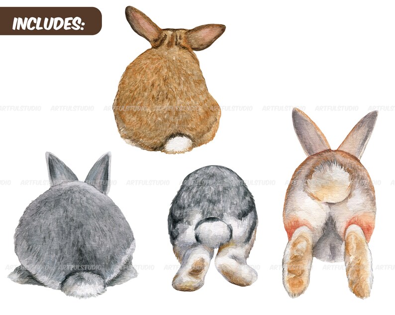 Watercolor Bunny Tails Clipart Realistic Bunnies decorative Breeds of ...