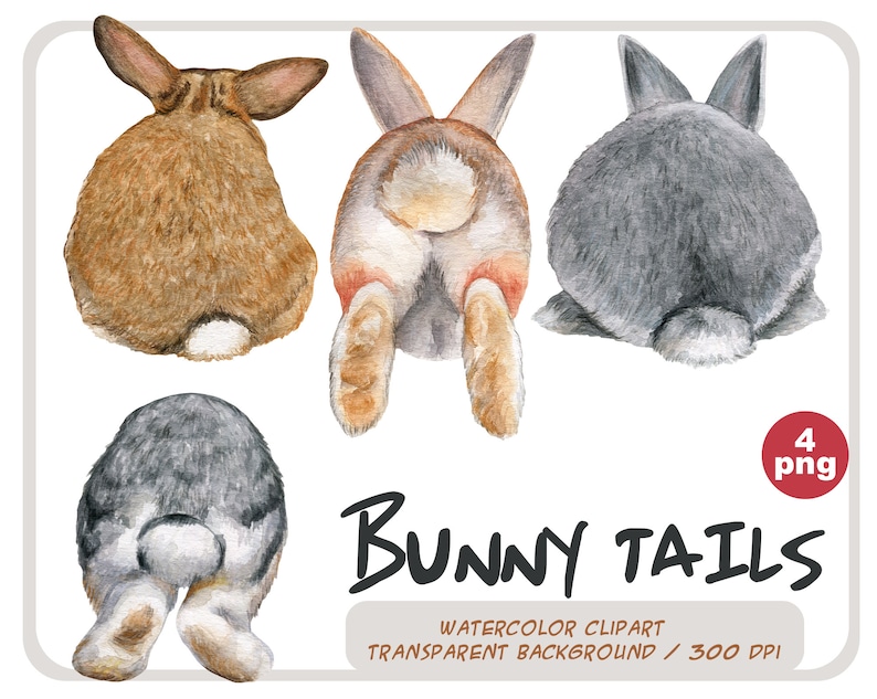 Watercolor Bunny Tails Clipart Realistic Bunnies decorative Breeds of ...