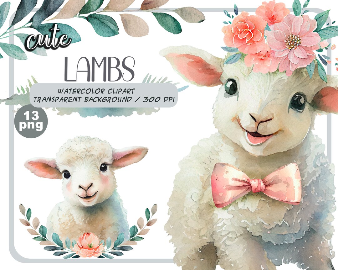 Watercolor Cute Baby Lambs Clipart-realistic Lamb With Flower-baby Shower Graphics-nursery Decor ...