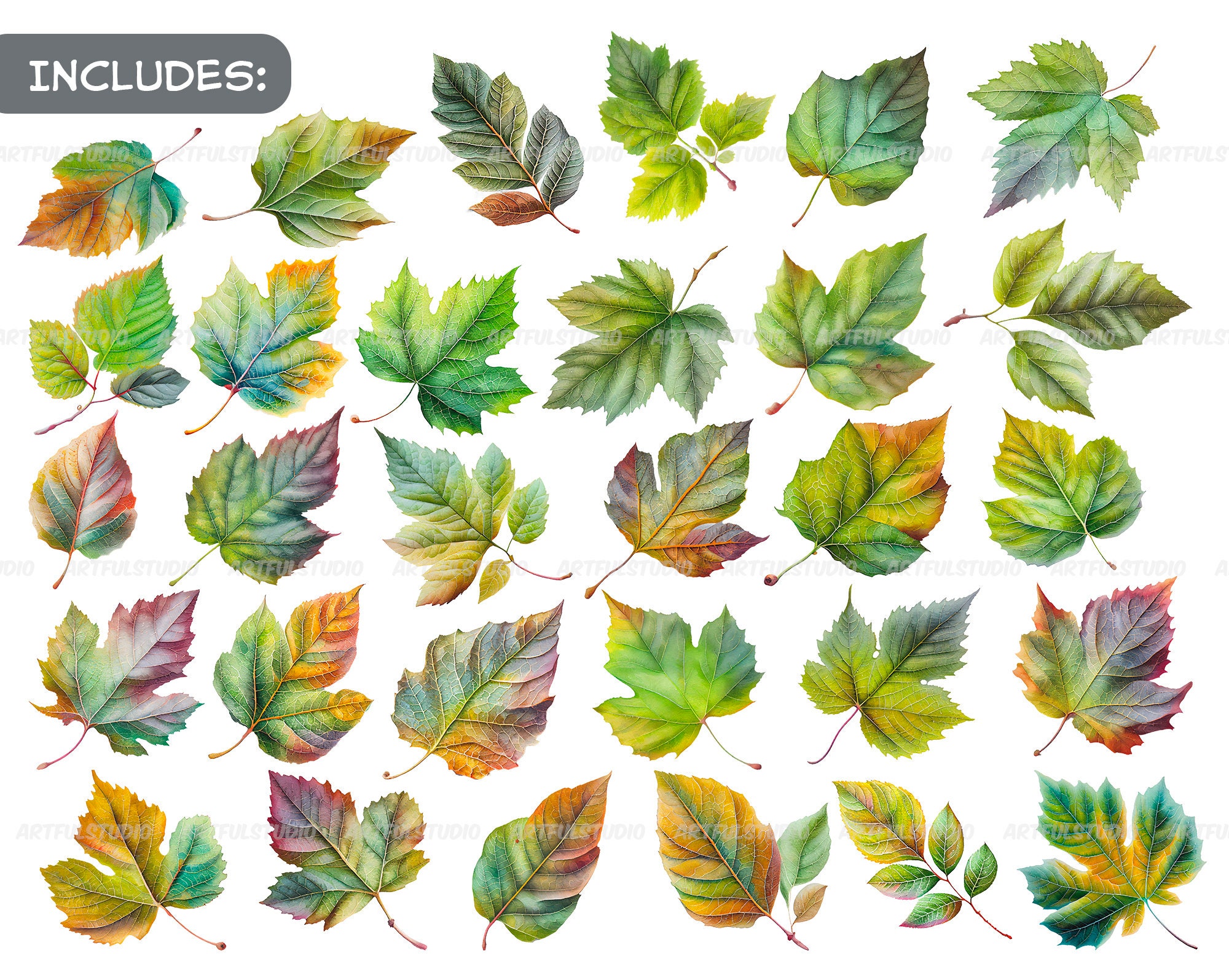 Watercolor Green Leaves Clipart Summer Leaf PNG Realistic Greenery ...