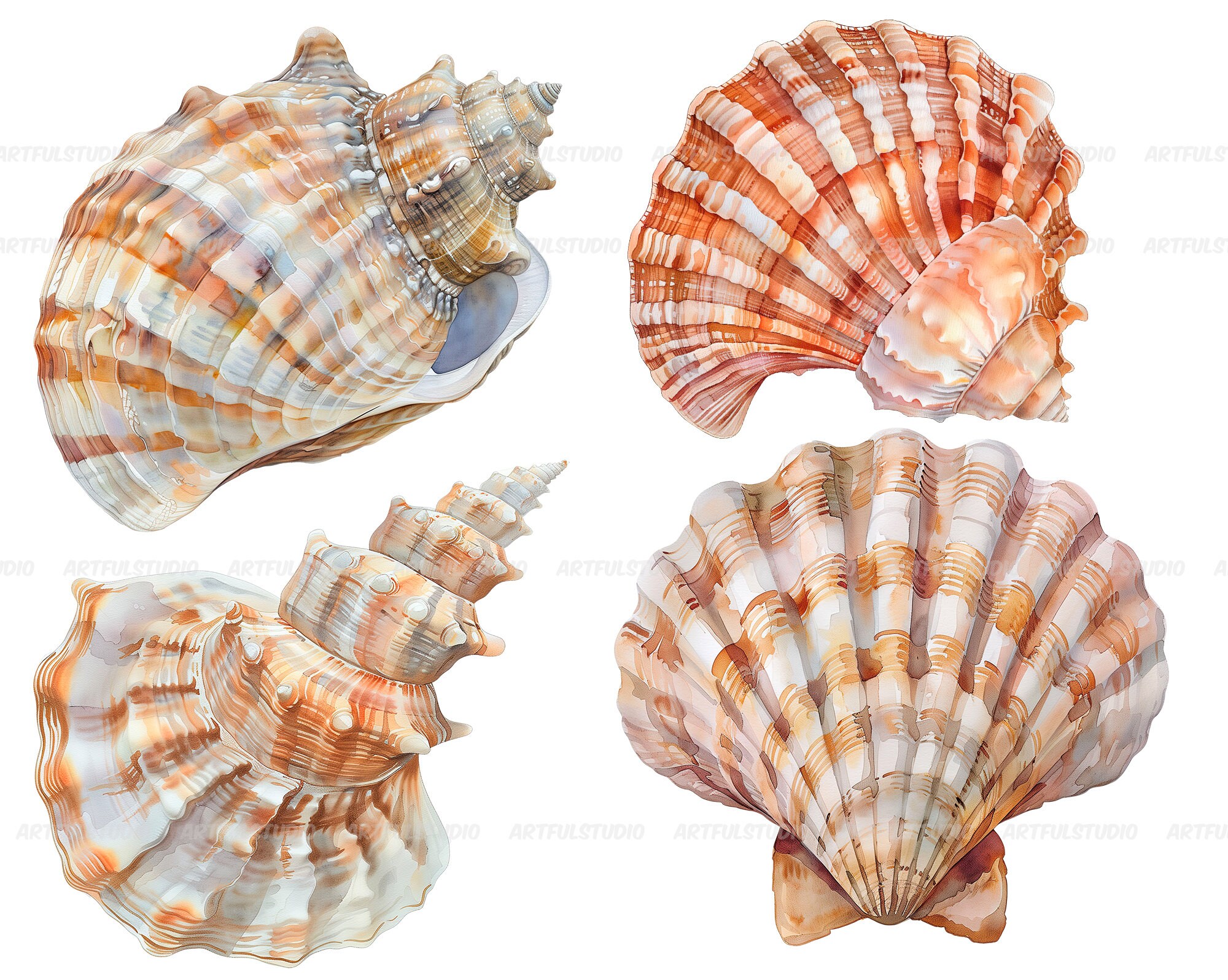 Watercolor Seashells Clipart Underwater Illustrations Beautiful ...