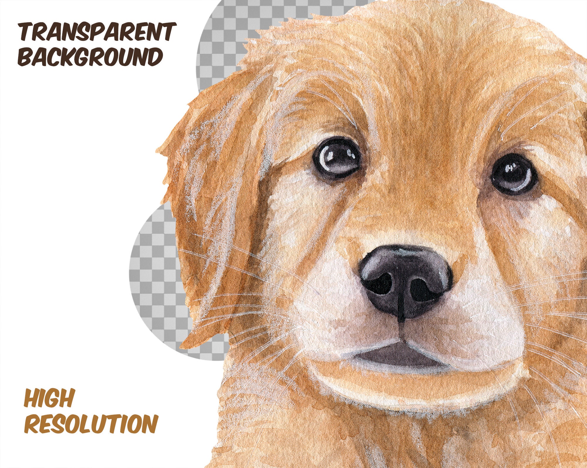 Watercolor Golden Retriever Puppies Clipart-labrador Breed Illustration ...