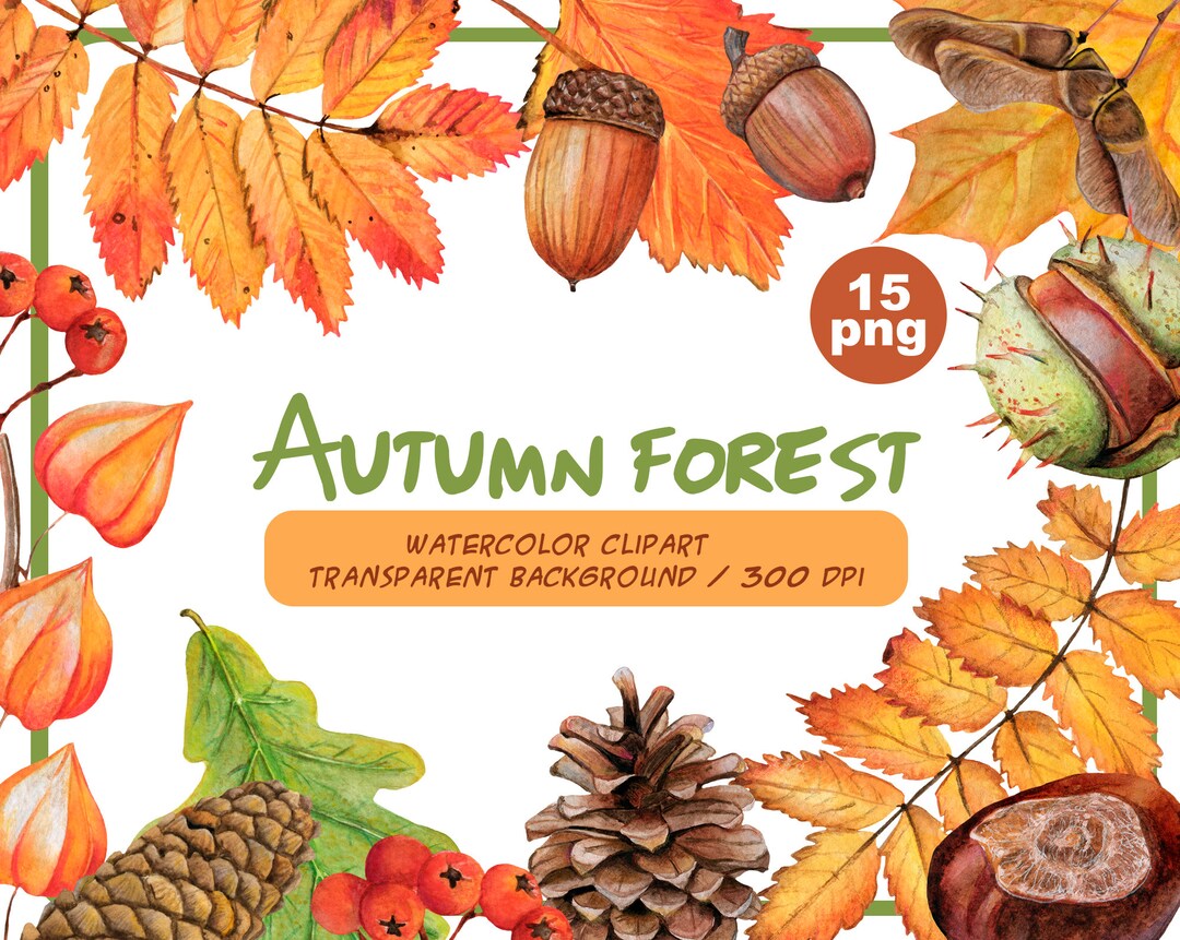 Watercolor Autumn Forest Clipart: Botanical Leaves, Berries (PNG) - Etsy