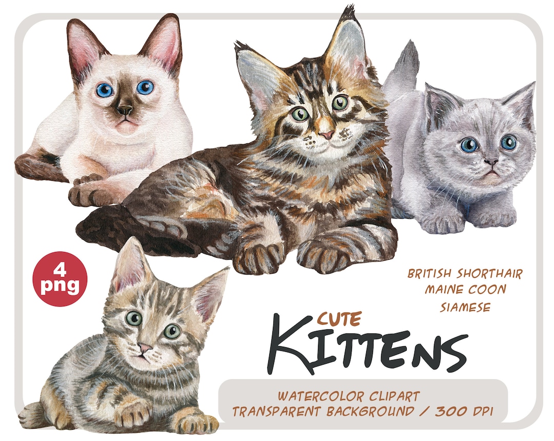 Watercolor Kittens Clipart-realistic Cats Clip Art-maine Coon, British ...