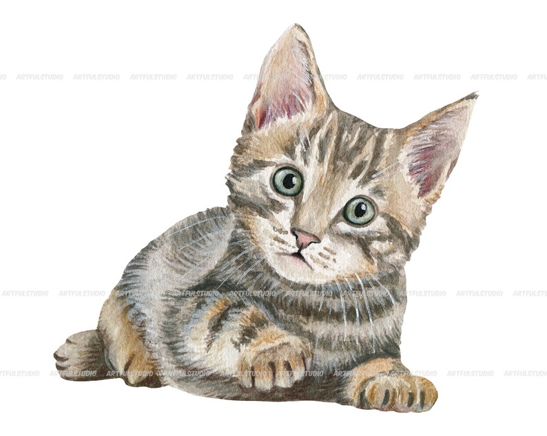 Watercolor Kittens Clipart-realistic Cats Clip Art-maine Coon, British ...