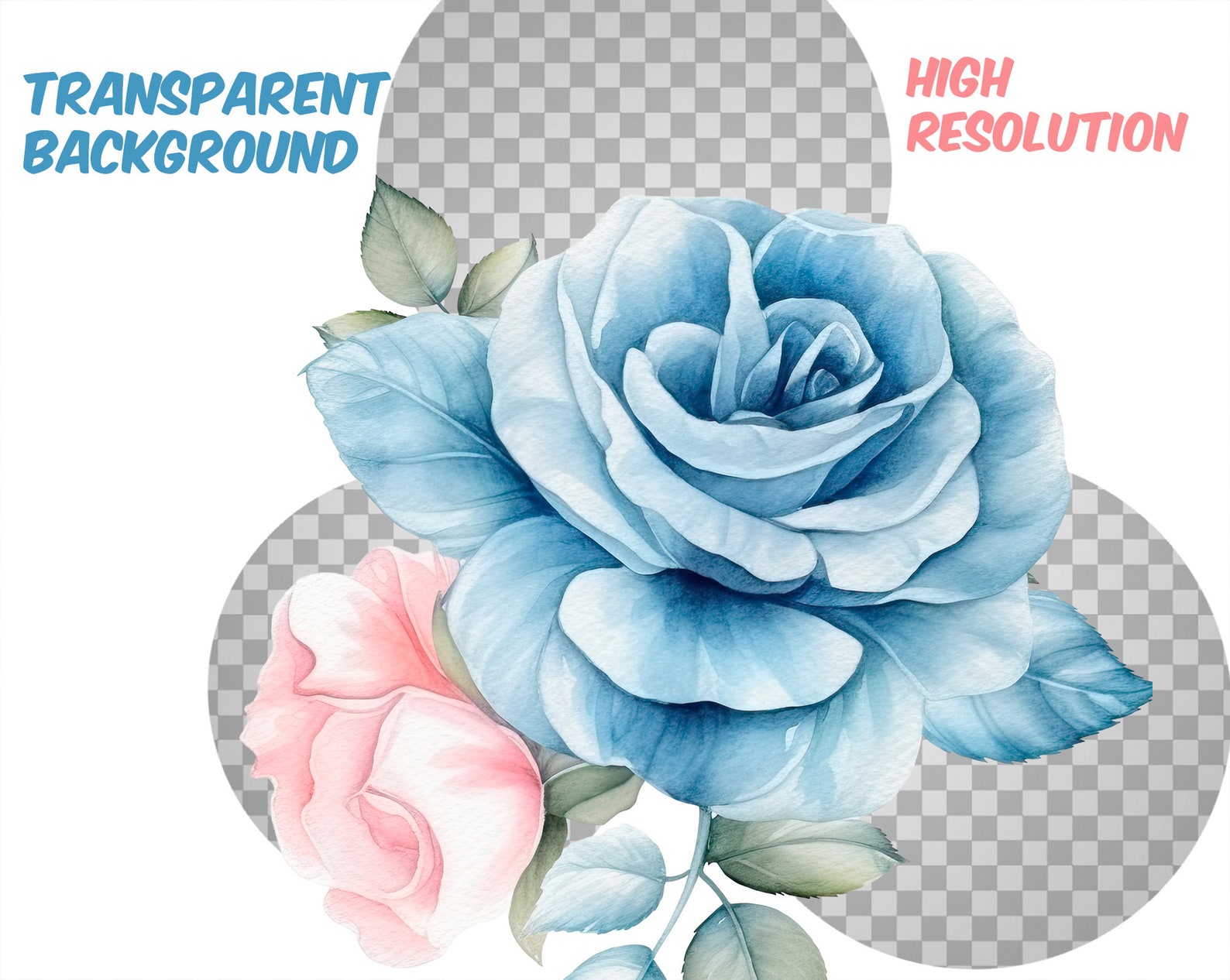 Watercolor Blue Roses Clipart: Floral Illustration (digital Download ...