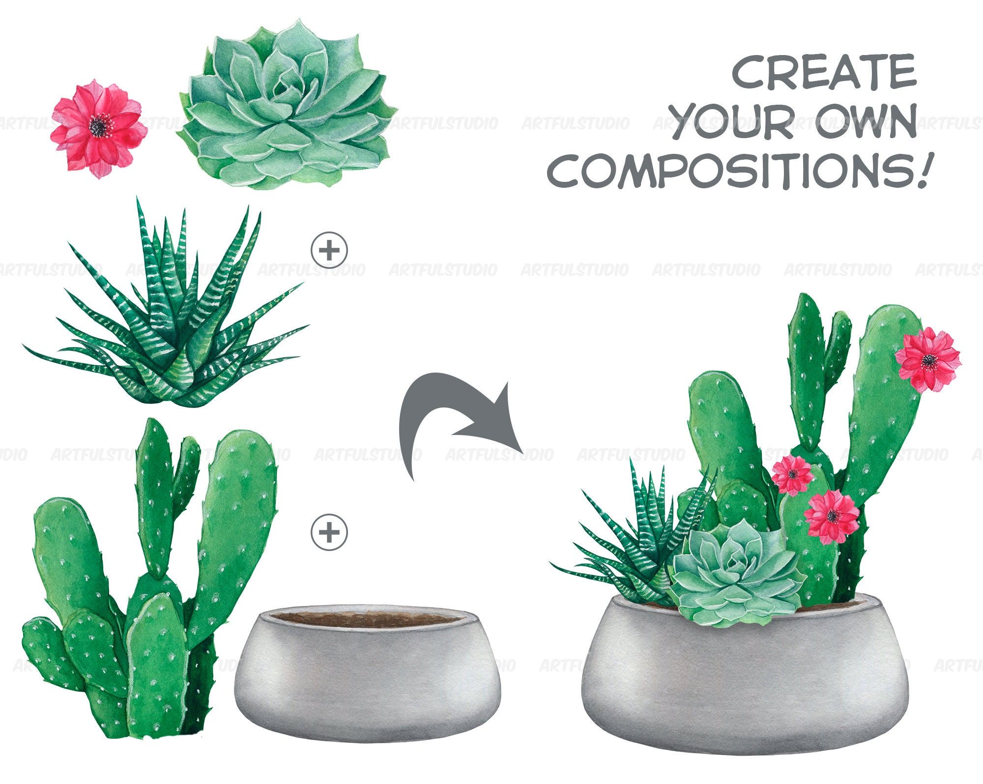 Watercolor Cactus Clipart Set Cute Succulents & Desert Cacti Png ...