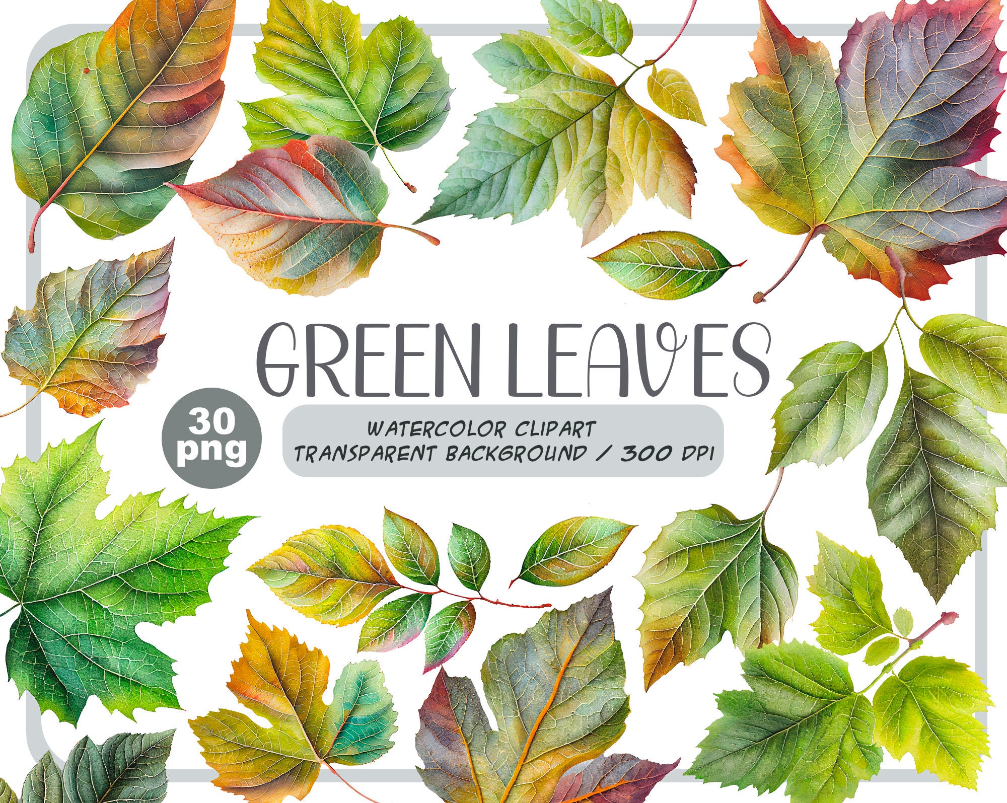 Watercolor Green Leaves Clipart Summer Leaf PNG Realistic Greenery ...