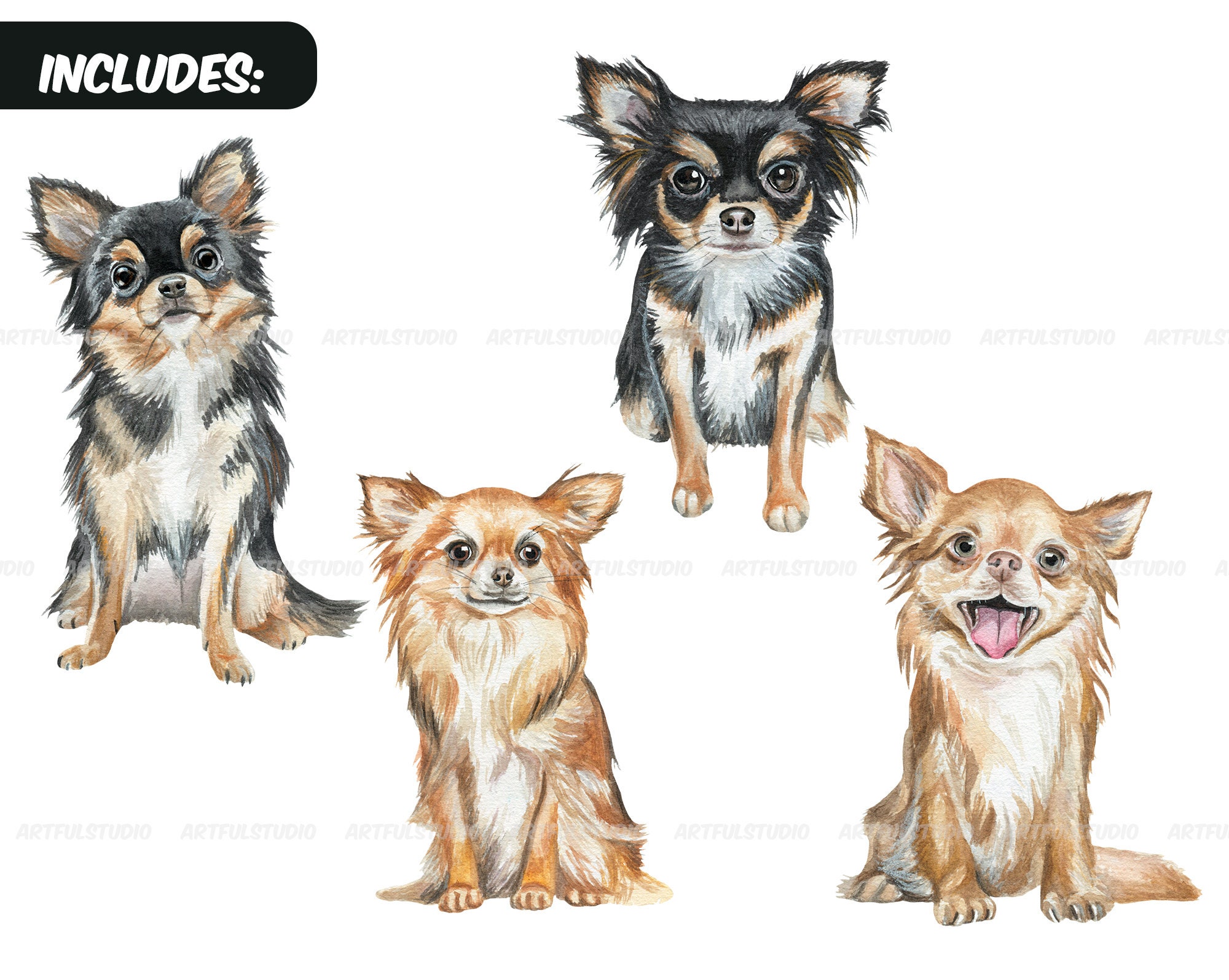 Watercolor Chihuahua Clipart Realistic Portraits of Dogs Dog Breeds ...