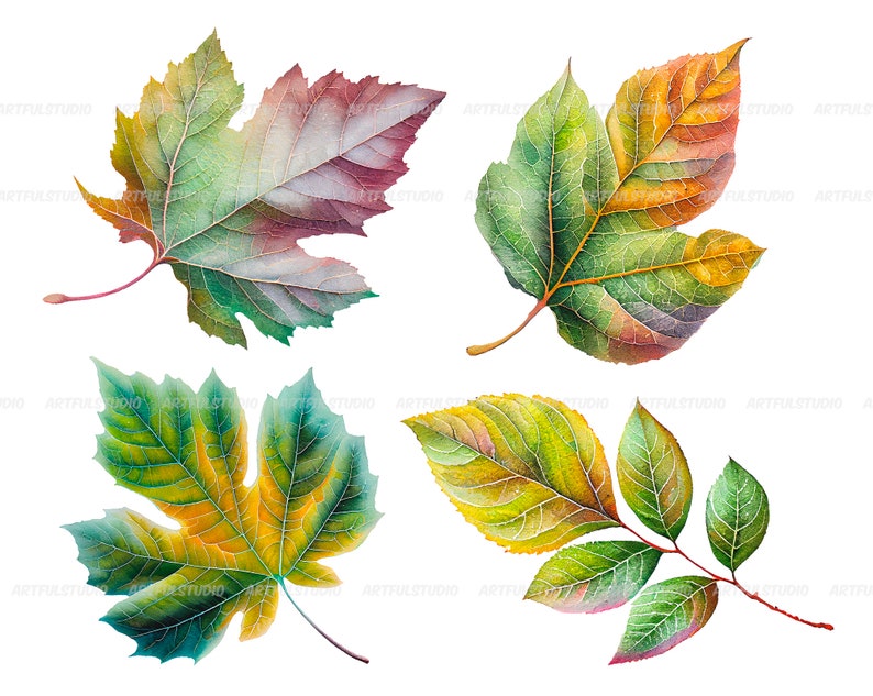 Watercolor Green Leaves Clipart Summer Leaf PNG Realistic Greenery ...