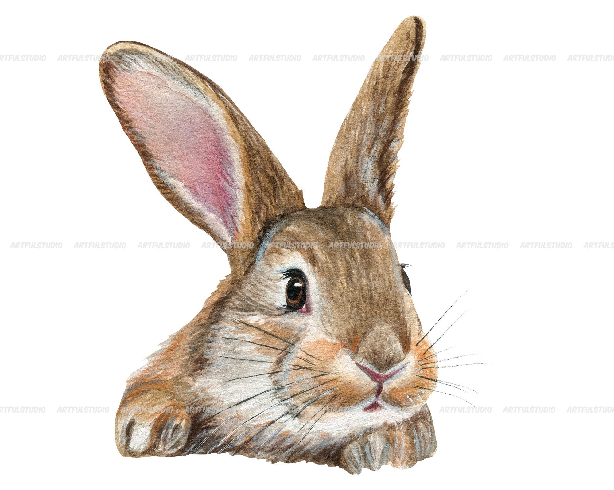 Watercolor Rabbits Clipart-realistic Bunnies Clip Art-decorative Breeds ...