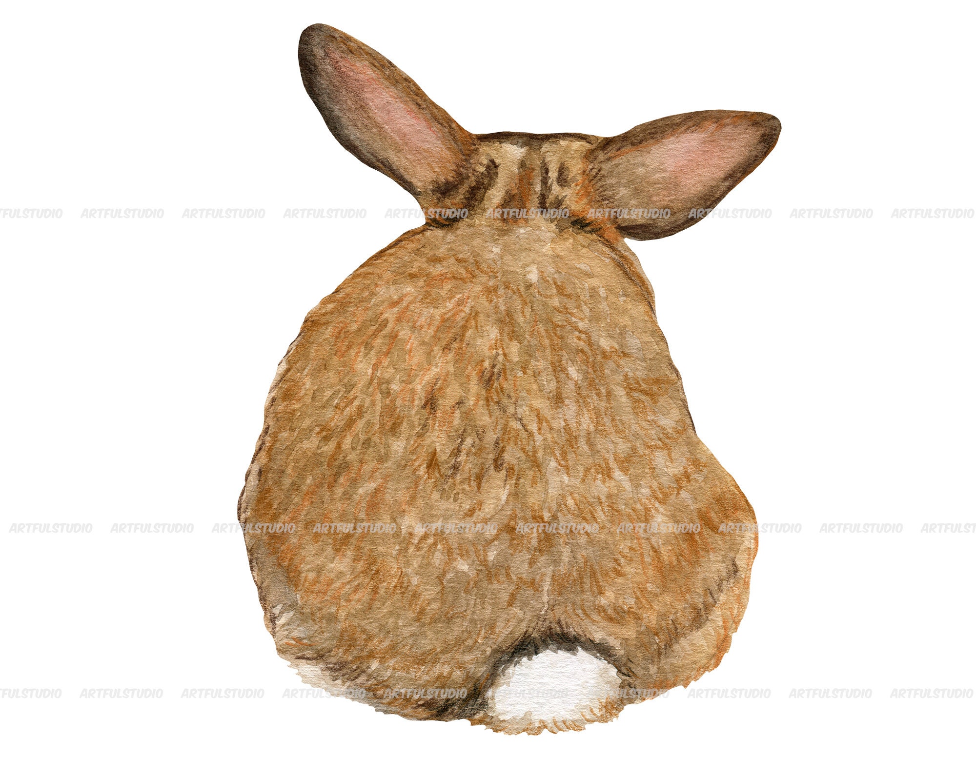 Watercolor Bunny Tails Clipart Realistic Bunnies decorative Breeds of ...