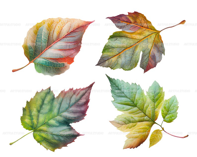 Watercolor Green Leaves Clipart Summer Leaf PNG Realistic Greenery ...