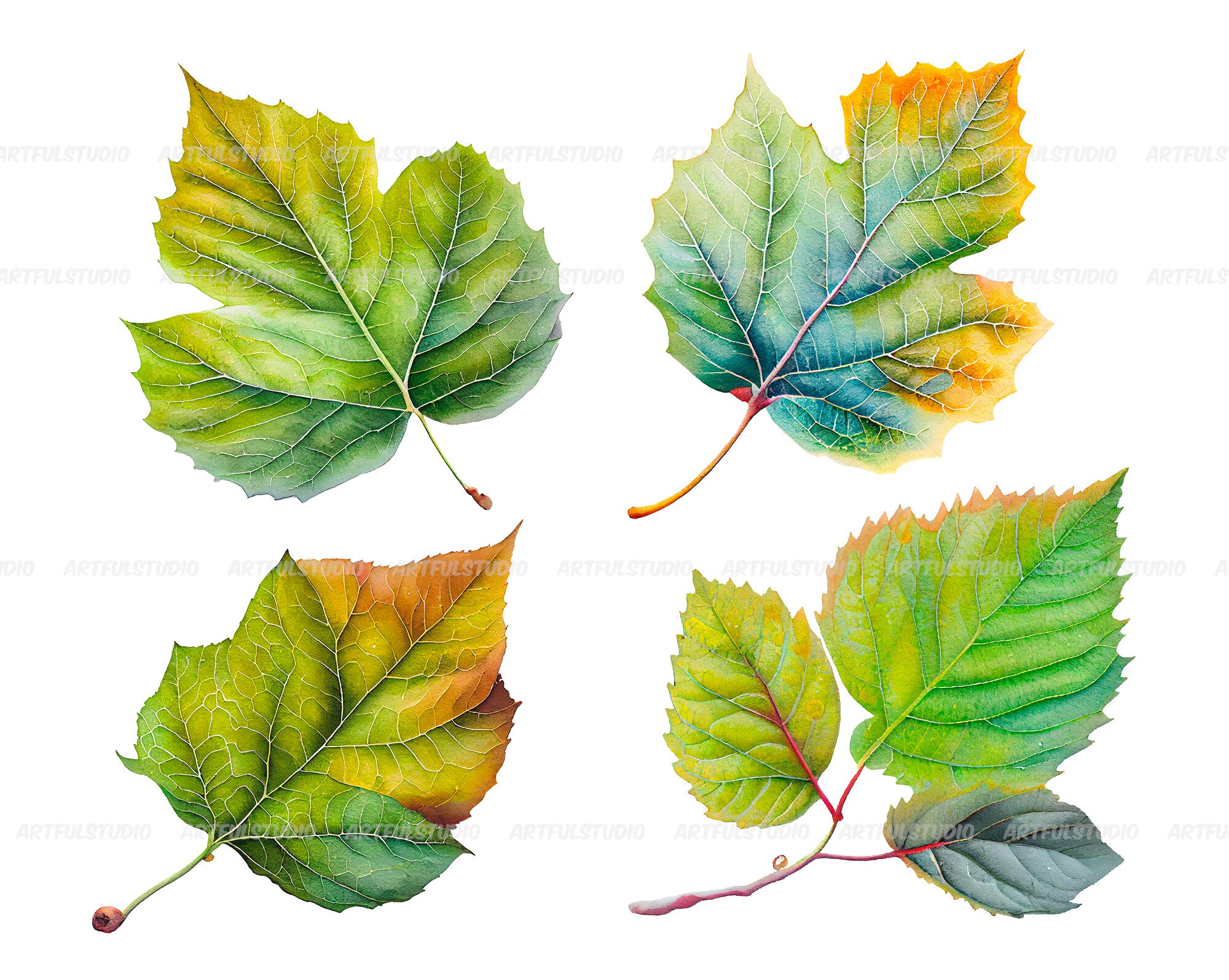 Watercolor Green Leaves Clipart Summer Leaf PNG Realistic Greenery ...