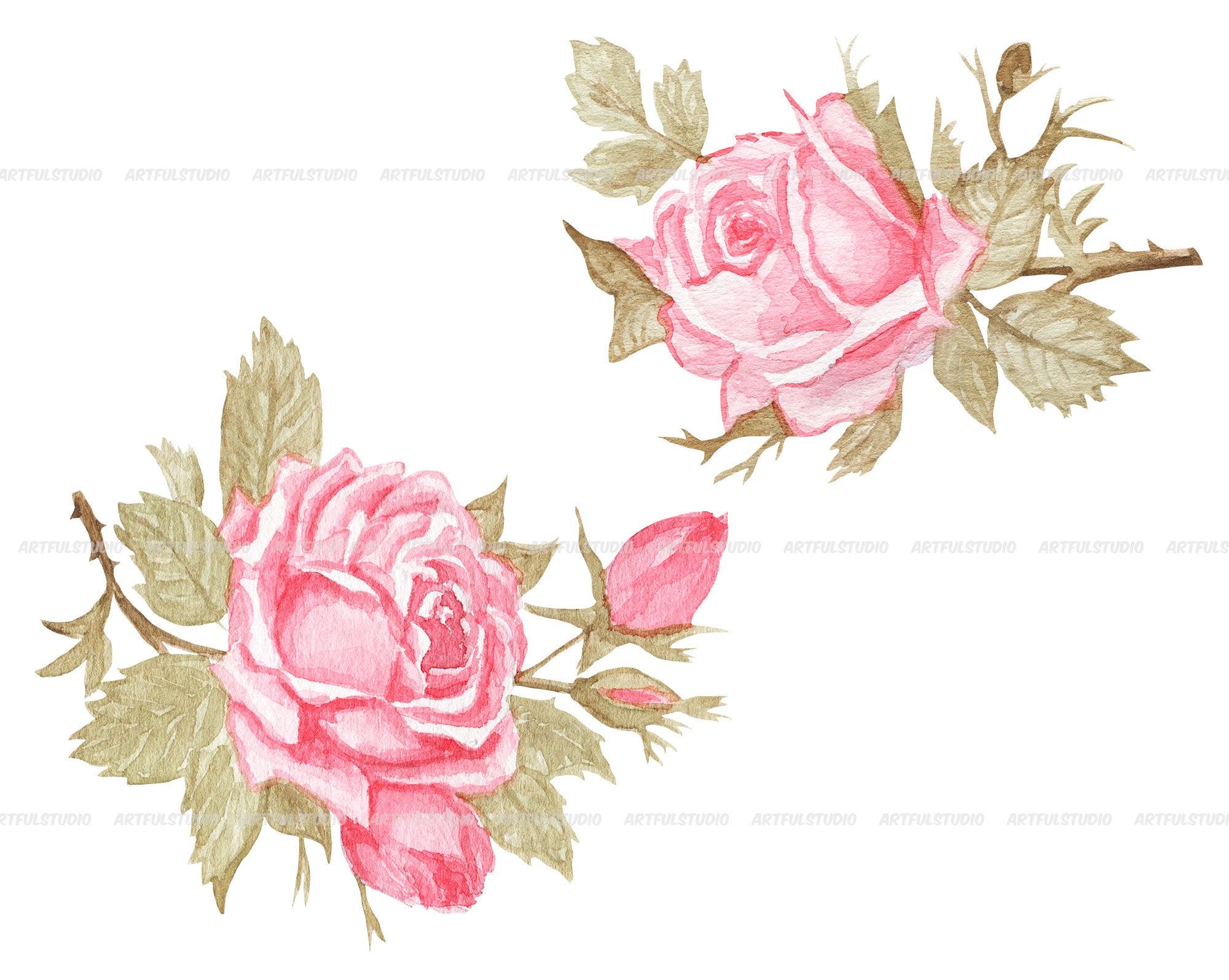 Watercolor Vintage Roses Clipart Dusty Pink Blush Light - Etsy