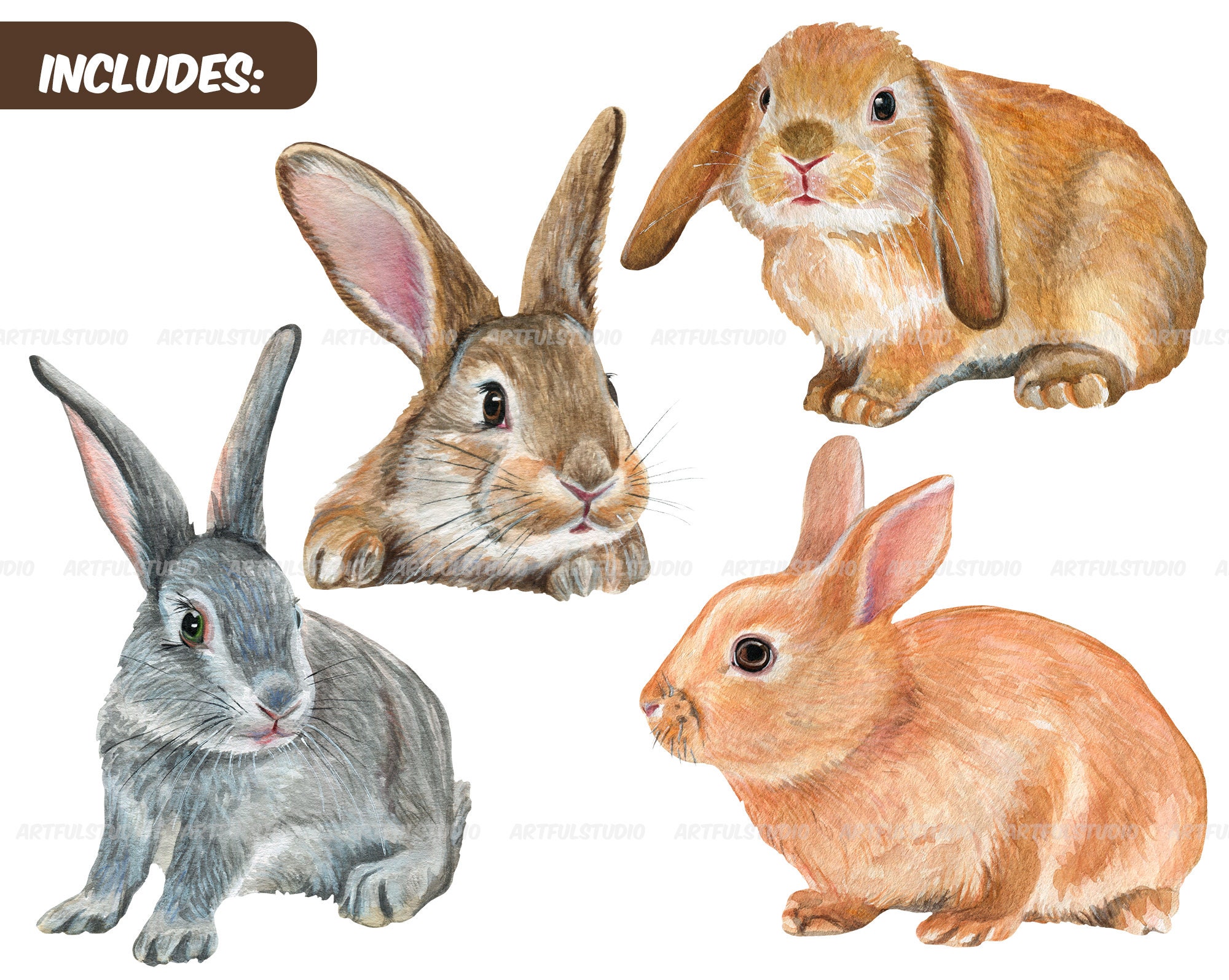 Watercolor Rabbits Clipart-realistic Bunnies Clip Art-decorative Breeds ...