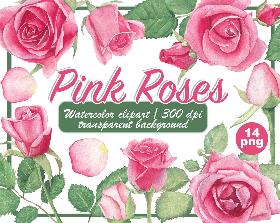 Watercolor Pink Roses Clipart: Vintage Floral PNG (instant Download) - Etsy