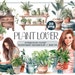 Watercolor Plant Lover Clipart - Cute Succulents & Home Plants Png ...
